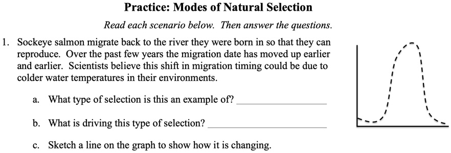 'Practice: Modes of Natural Selection Read each scenario below: Then ...