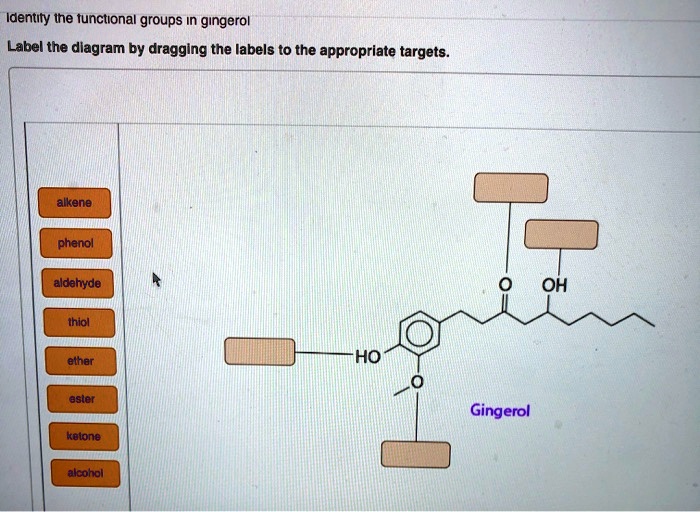 SOLVED: Identity tne tunctional groups In gingeron Label the dlagram by ...