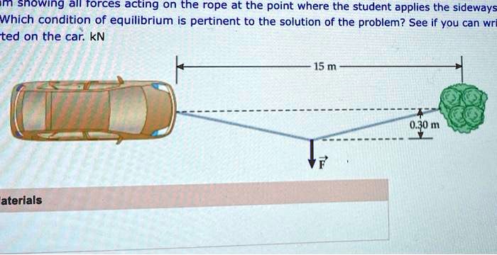 am showing all forces acting on the rope at the point where the student ...
