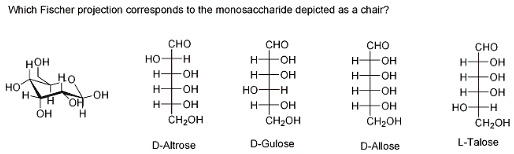 SOLVED: ' Which Fischer projection corresponds to the monosaccharide ...