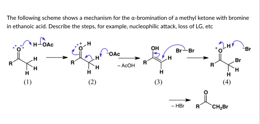 The following scheme shows a mechanism for the a-bromination of a ...