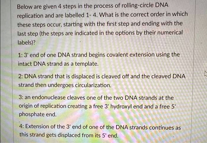 Below are given 4 steps in the process of rolling-circle DNA replication and are labelled 1-4 ...