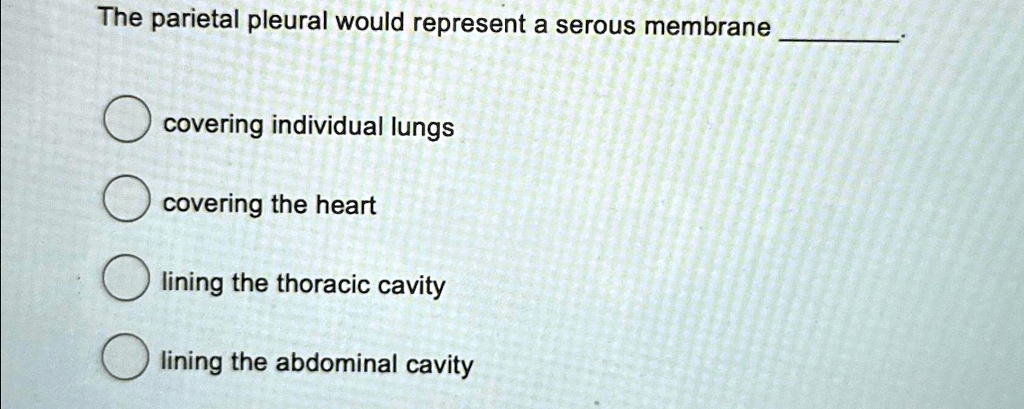 The parietal pleural would represent a serous membrane . ? covering ...