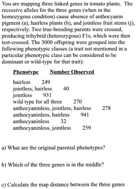 You are mapping three linked genes in tomato plants. The recessive ...