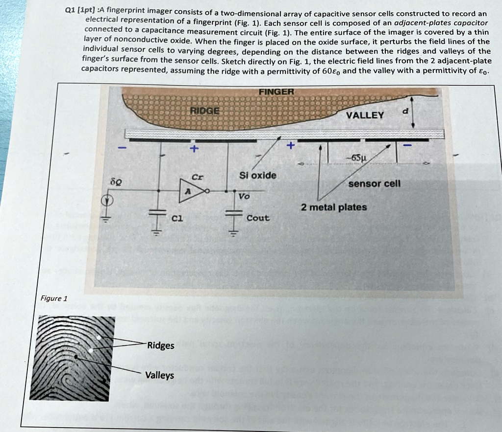 SOLVED: Q1 [1pt] : A fingerprint imager consists of a two-dimensional ...