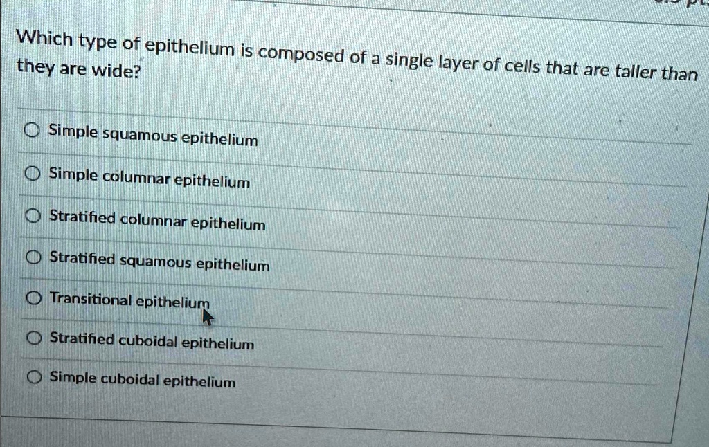 Which type of epithelium is composed of a single layer of cells that ...
