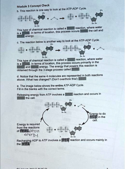 Module 3 Concept Check b. This reaction is one way to look at the ATP ...
