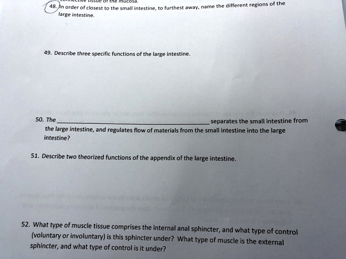 SOLVED:order of closest the small intestine large intestine furthest ...