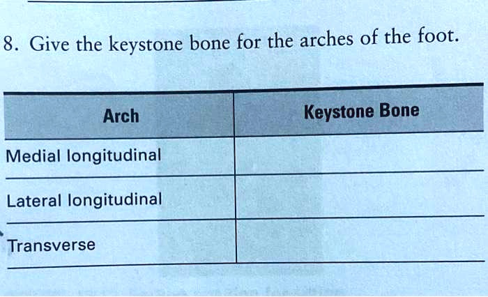 [GET ANSWER] 8. Give the keystone bone for the arches of the foot. Arch ...