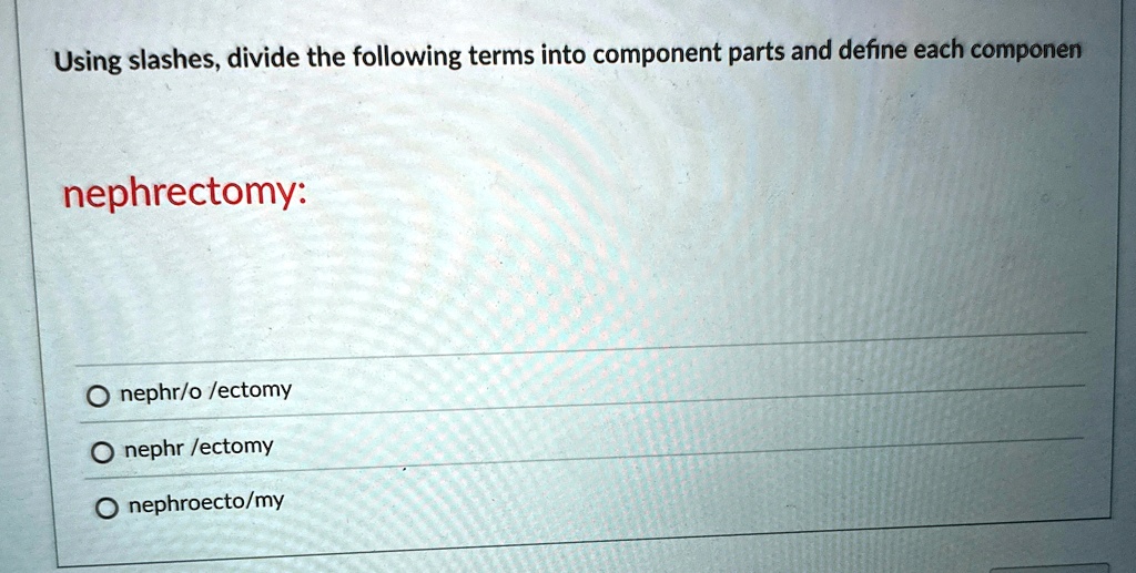 [GET ANSWER] Using slashes, divide the following terms into component ...