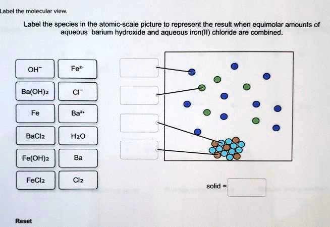 SOLVED: Label the molecular view: Label the species in the atomic-scale ...