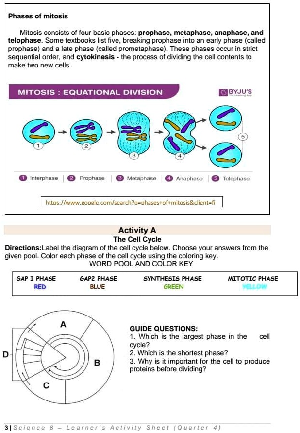 SOLVED: '1. which is the largest phase in the cell cycle? 2. which is ...