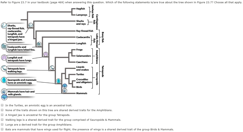 SOLVED: Text: Refer to Figure 23.7 in your textbook (page 469) when ...