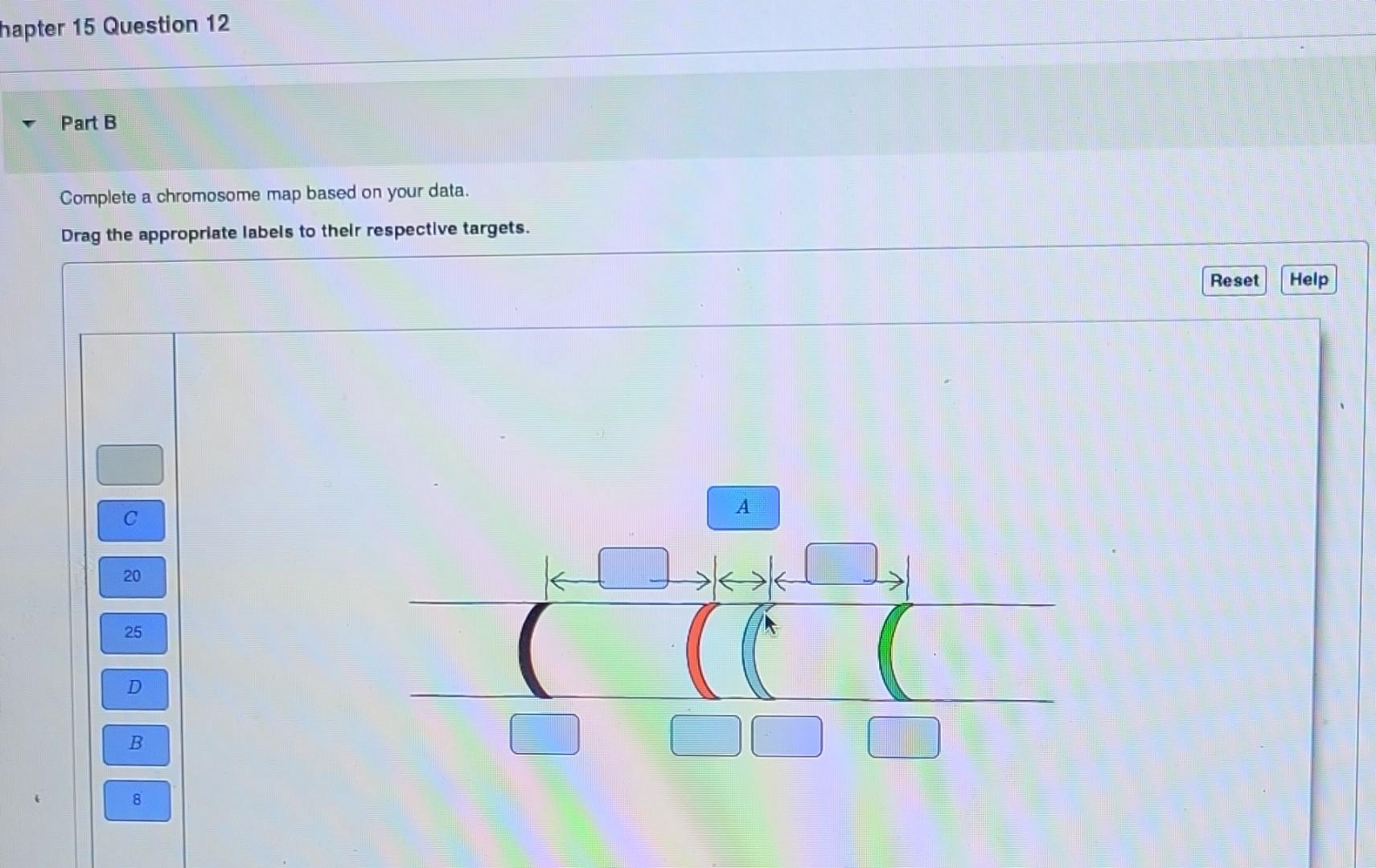 SOLVED: hapter 15 Question 12 Part B Complete a chromosome map based on your data. Drag the ...