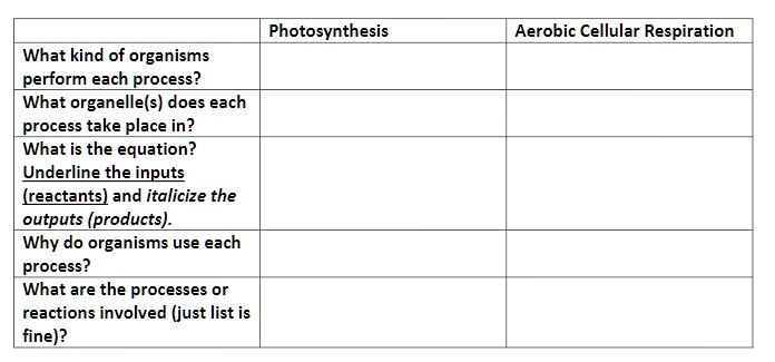 SOLVED: Photosynthesis Aerobic Cellular Respiration What kind of ...