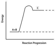 SOLVED: 'Consider the reaction pathway graph below. Which statement ...