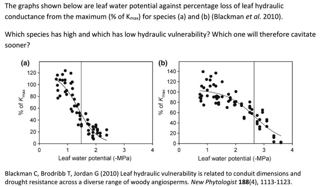 SOLVED: The graphs shown below are leaf water potential against ...