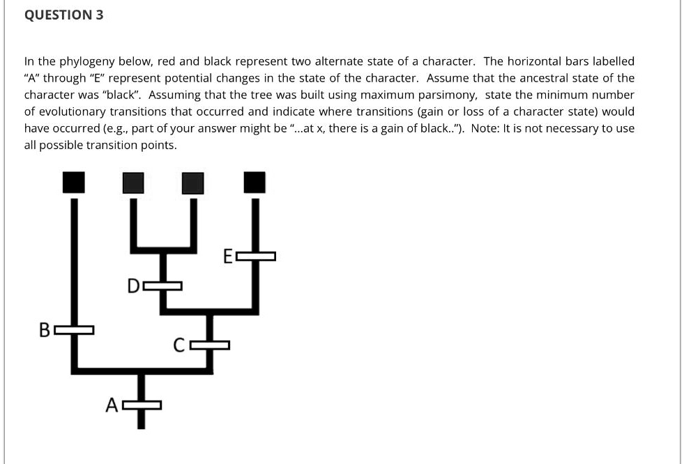 QUESTION 3 In the phylogeny below, red and black represent two ...