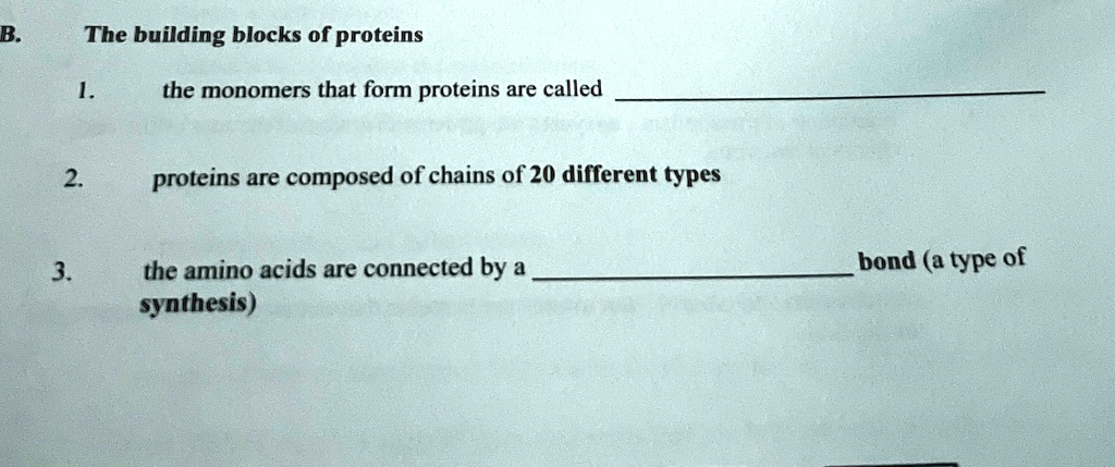 B. The building blocks of proteins 1. the monomers that form proteins ...