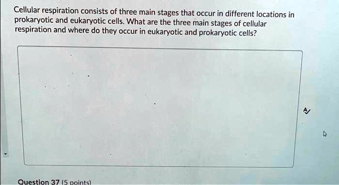 SOLVED: Cellular respiration consists of three main stages that occur in different locations in ...