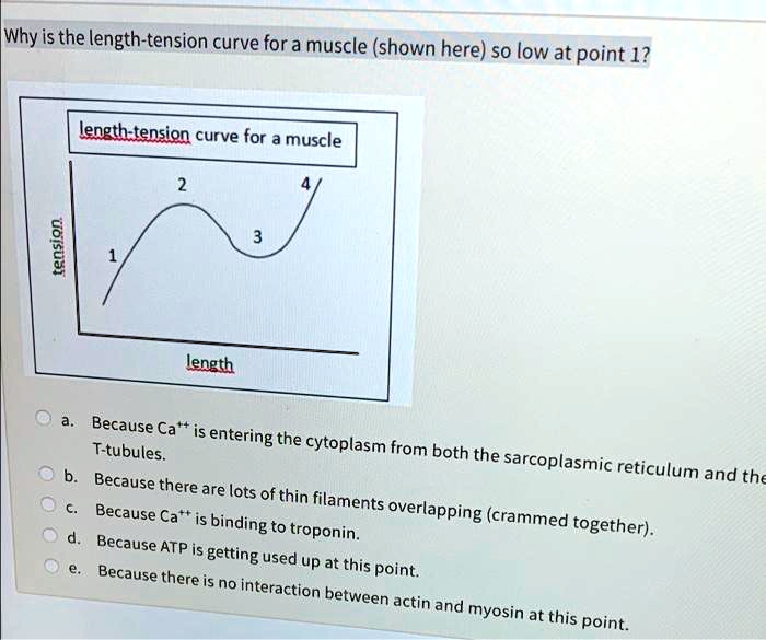SOLVED: Why is the length-tension curve for a muscle (shown here) so ...