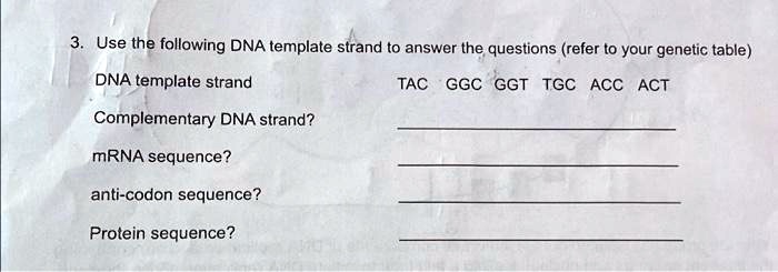 3. Use the following DNA template strand to answer the questions (refer to your genetic table ...