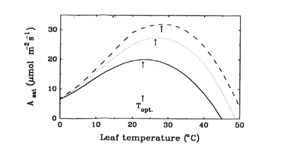 In the graph below, you see different temperature optima curves for C3 ...