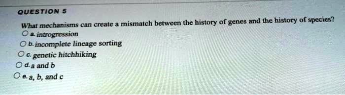 SOLVED: question 5 What mechanisms can create mismatch between the ...