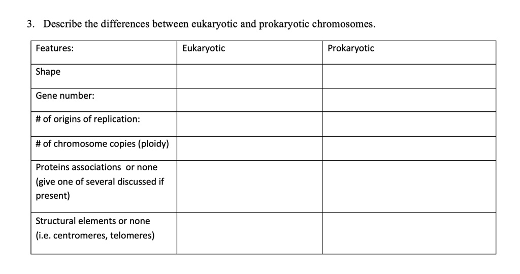 SOLVED: Describe the differences between eukaryotic and prokaryotic ...