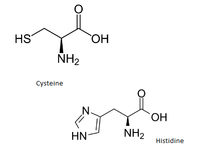 Cysteine Histidine