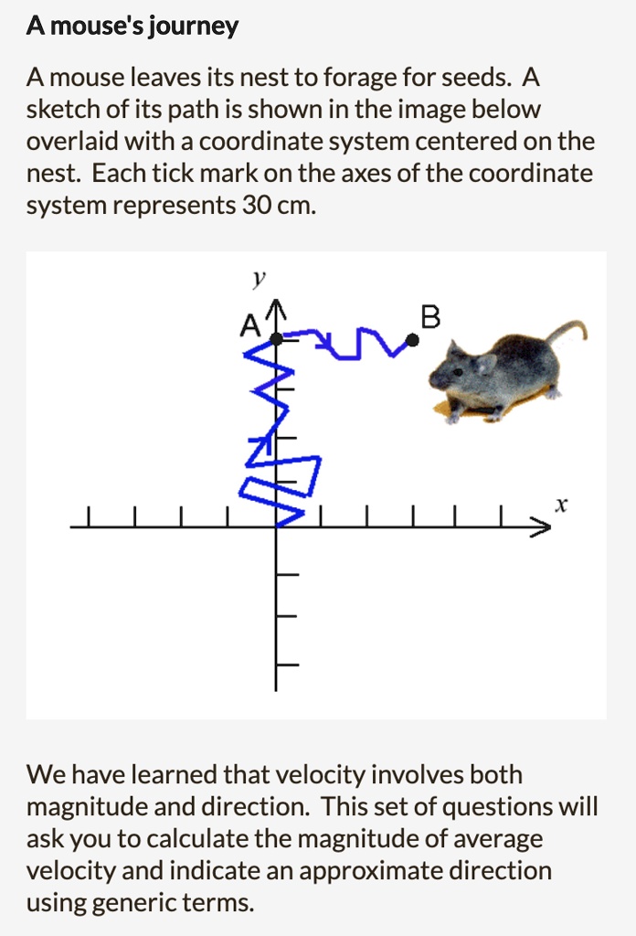 SOLVED: A)It takes the mouse 2 minutes and 50 seconds to travel from ...