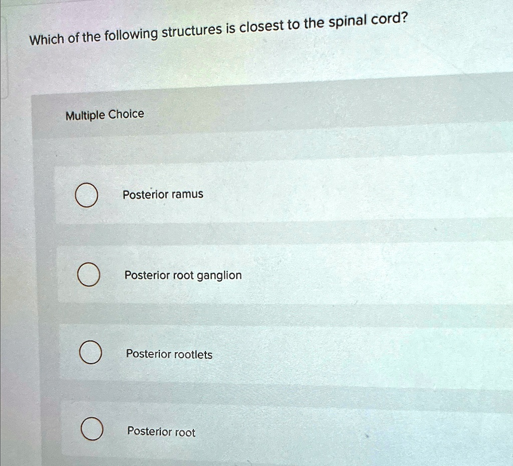 Which of the following structures is closest to the spinal cord ...
