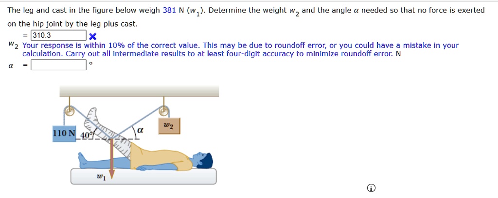 the leg and cast in the figure below weigh 381 n w1 determine the ...
