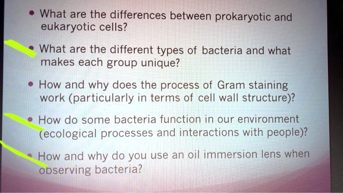 SOLVED: What are the differences between prokaryotic and eukaryotic ...