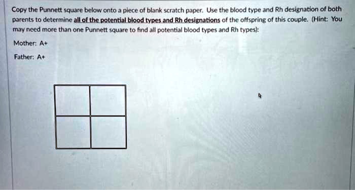 SOLVED:Copy the Punnett square below onto plece of blank scratch paper ...