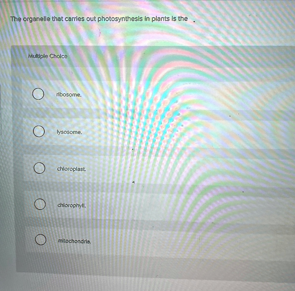 The organelle that carries out photosynthesis in plants is the Multiple ...