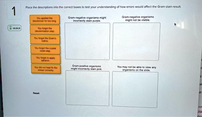 SOLVED: Text: Place descriptions into the correct boxes to test your ...