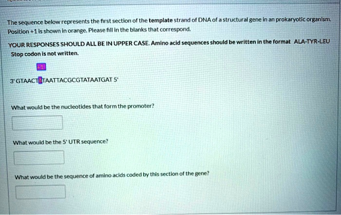 SOLVED: The sequence below represents the first sectionofthe template strand of DNA ofa ...