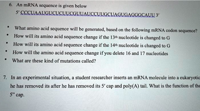 SOLVED: An mRNA sequence is given below CCCUAAUGUCUCUUCGLHAUCCUUGCHAGUGAGGGCAUL 3' What amino ...