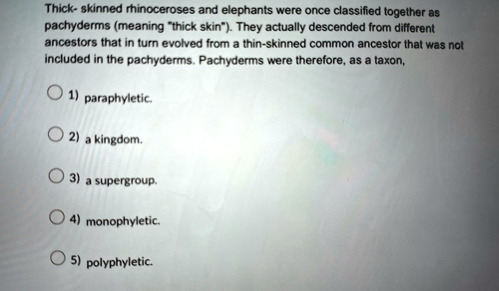 Thick- skinned rhinoceroses and elephants were once classified together ...