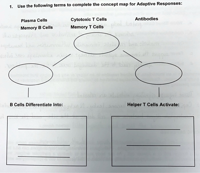 1. Use the following terms to complete the concept map for...