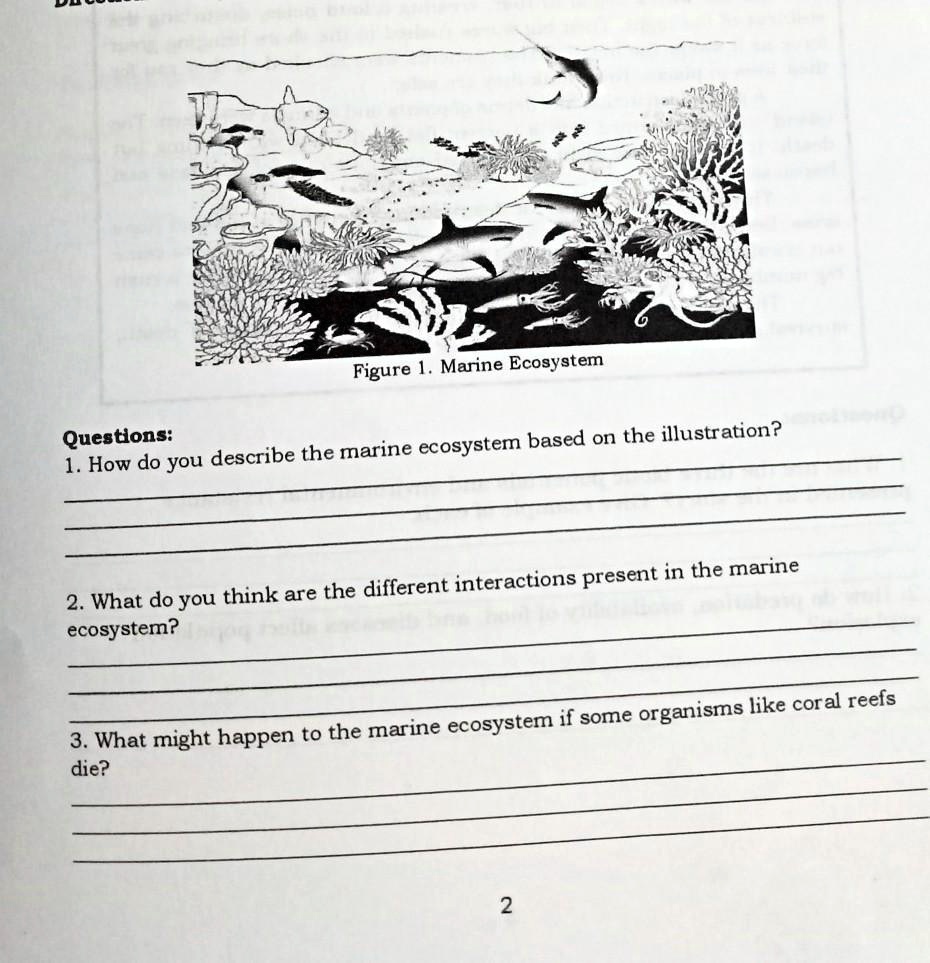 Marine Ecosystem Worksheet