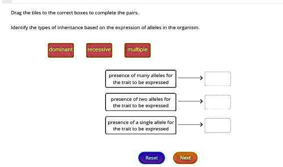 SOLVED: 'Drag the tiles to the correct boxes to complete the pairs ...
