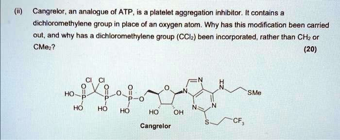 (ii) Cangrelor, an analogue of ATP, is a platelet aggregation inhibitor ...