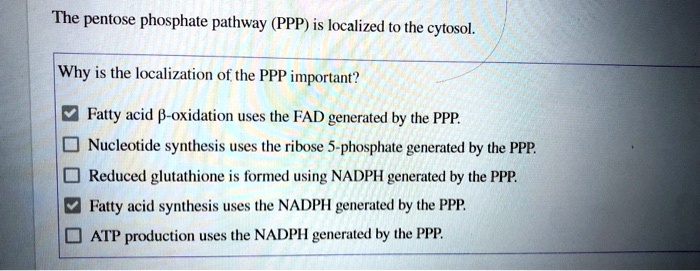 The pentose phosphate pathway (PPP) is localized to the cytosol. Why is ...