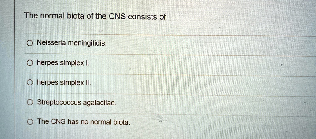 The normal biota of the CNS consists of Neisseria meningitidis. herpes ...