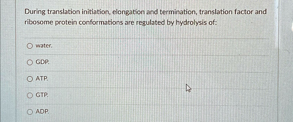 SOLVED: During translation initiation, elongation, and termination ...