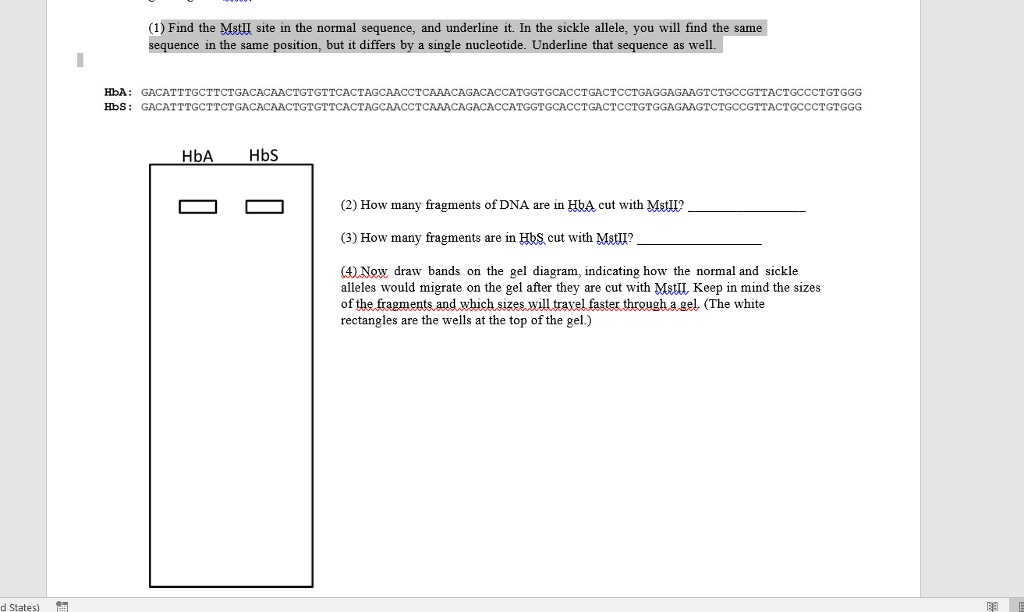 SOLVED: Find the MstII site in the normal sequence and underline it. In the sickle allele, you ...