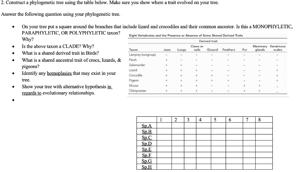 SOLVED:2. Construct phylogenetic tree using the table below. Make sure you show where trait ...