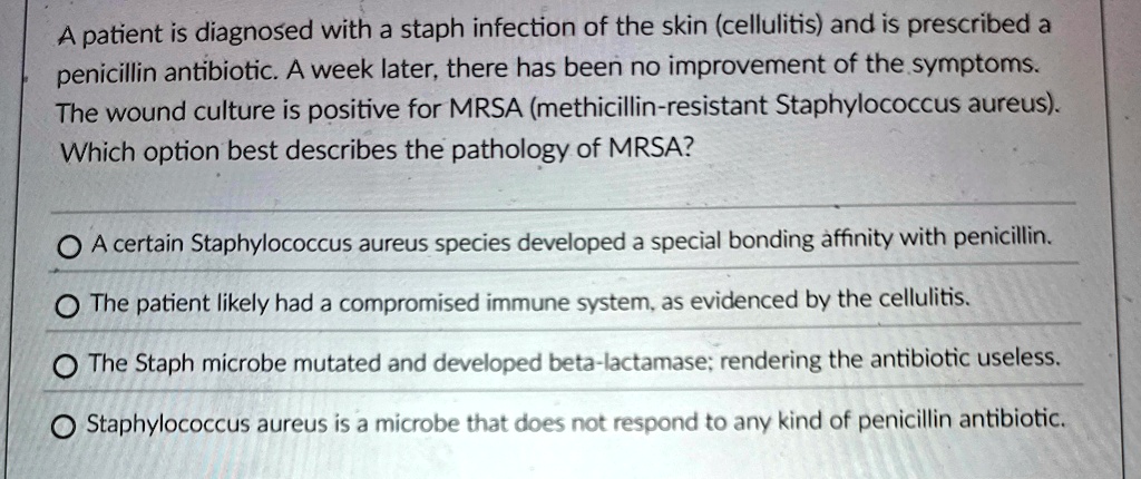 a patient is diagnosed with a staph infection of the skin cellulitis ...